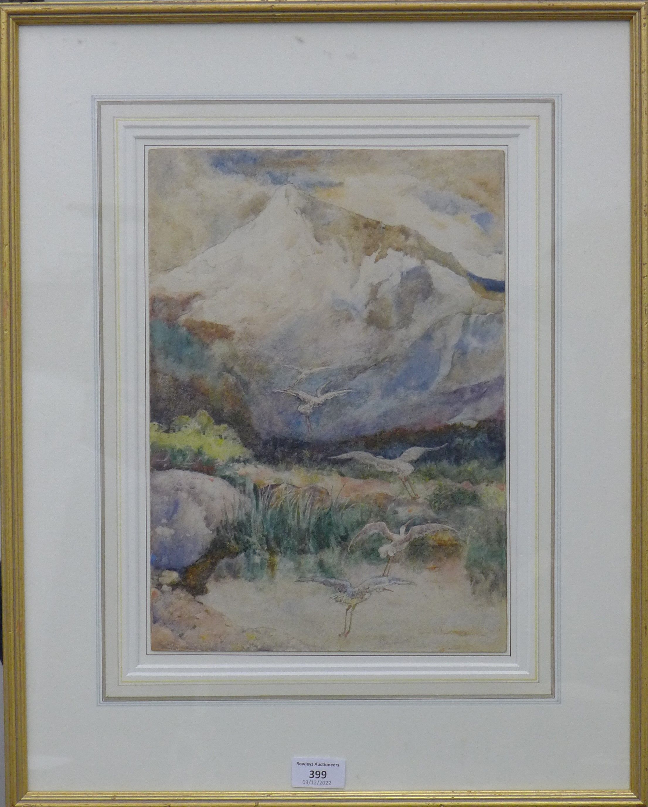 David Woodlock | Ibis Taking Flight | MutualArt