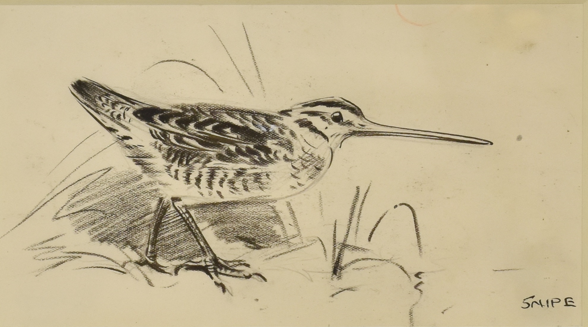 Eileen Alice Soper | Snipe | MutualArt