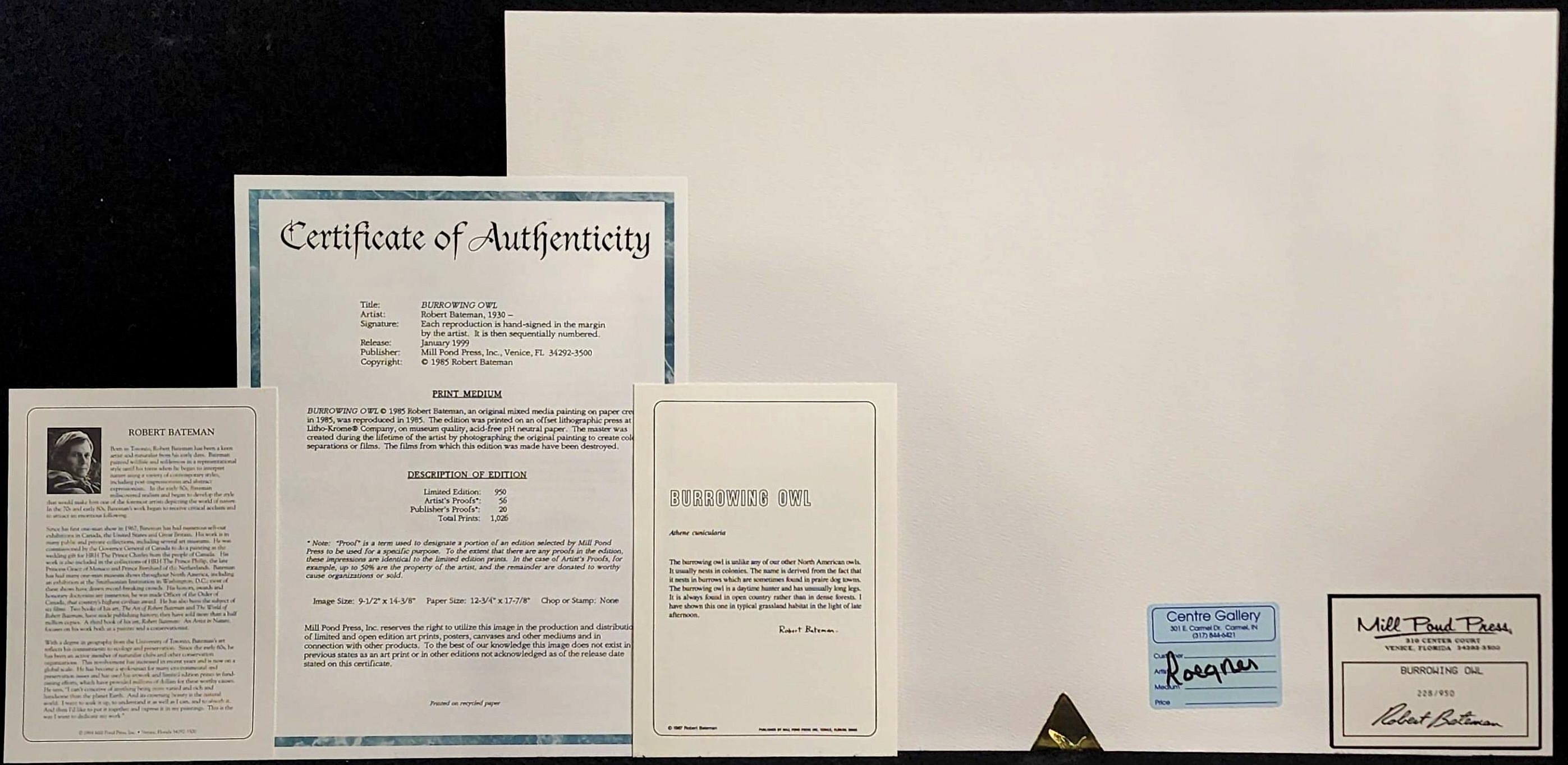 Robert McLellan Bateman | Bald Eagle | MutualArt