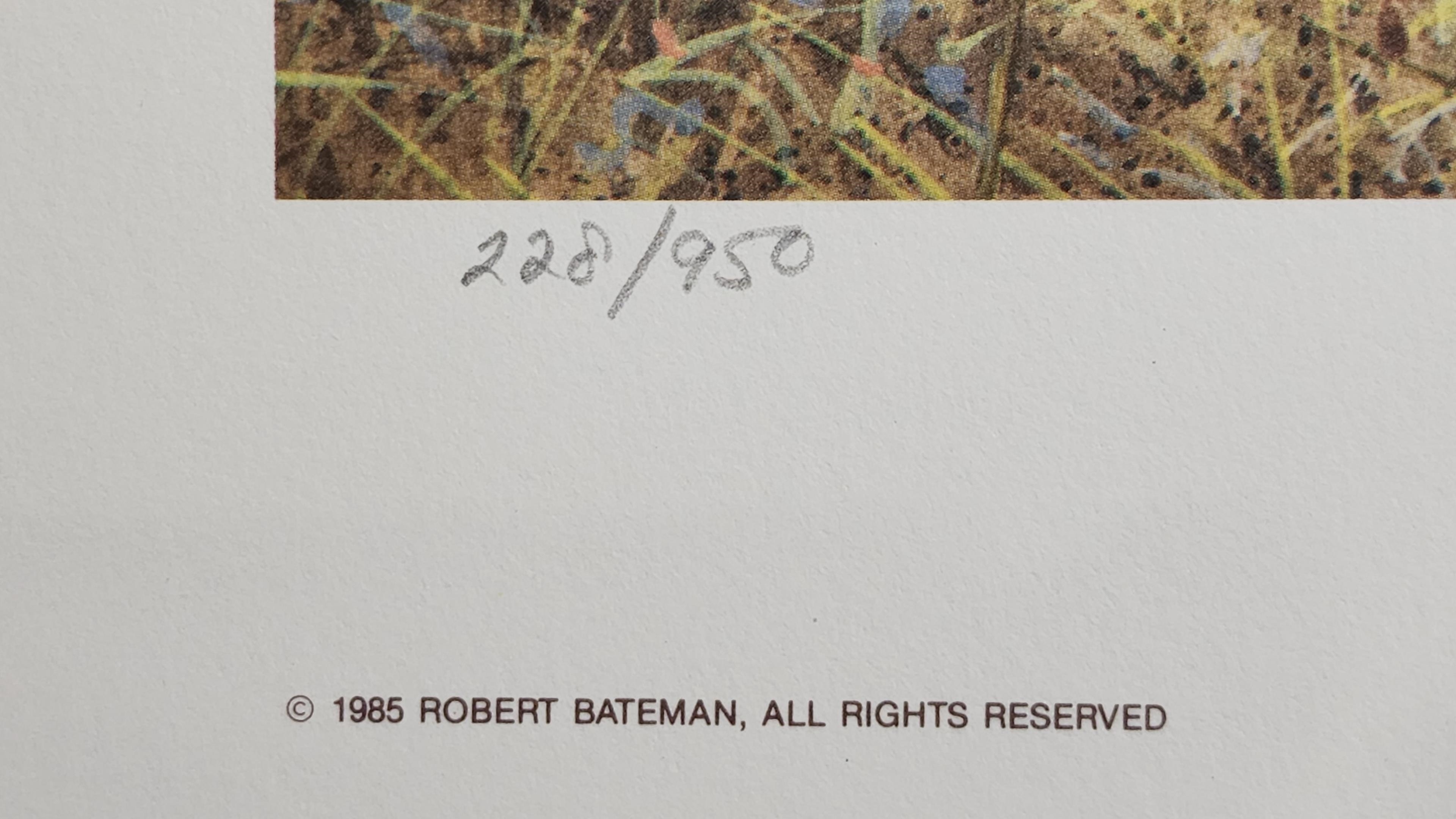 Robert Bateman | Bald Eagle | MutualArt