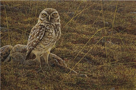 Robert Bateman | Bald Eagle | MutualArt