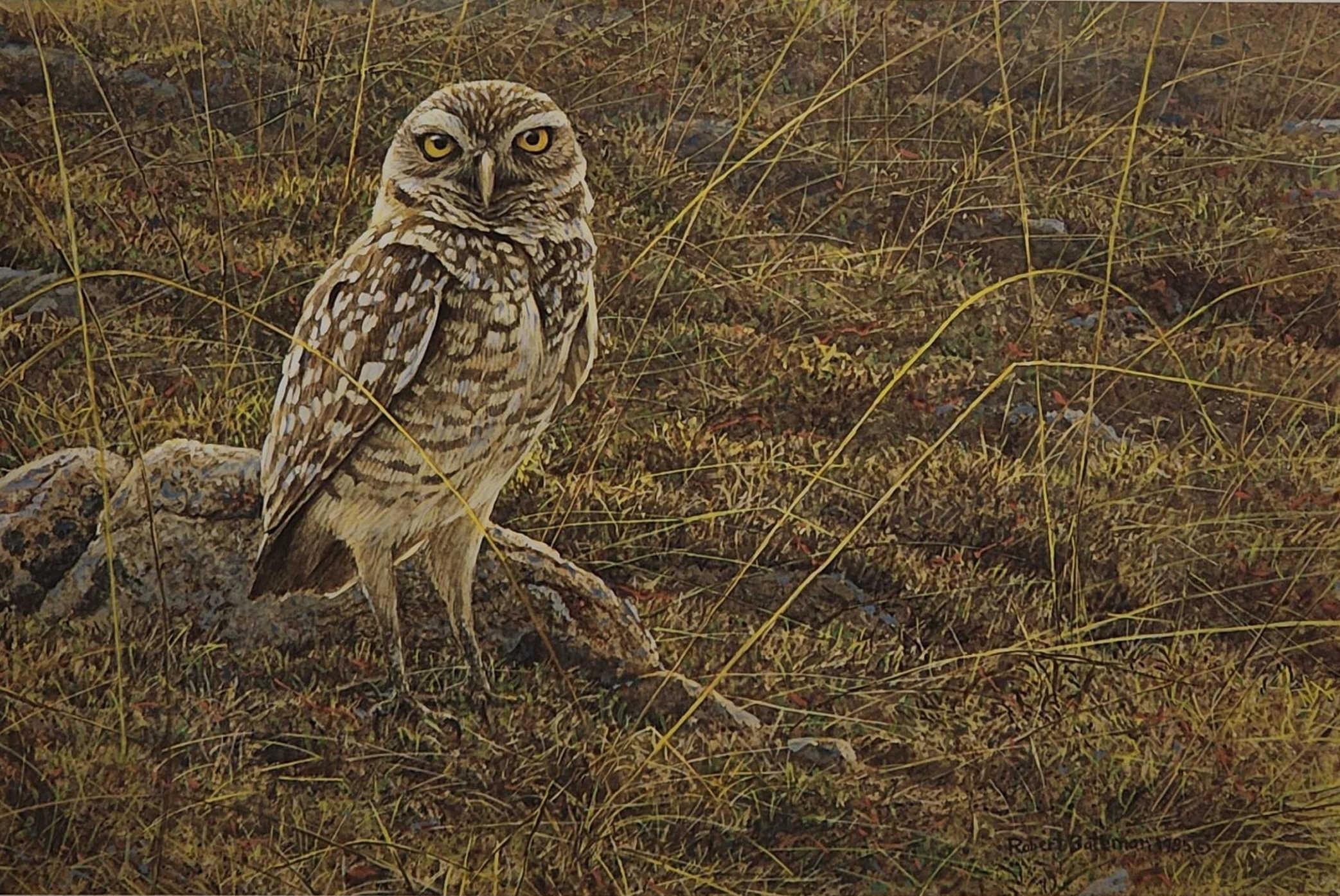 Robert McLellan Bateman | Bald Eagle | MutualArt