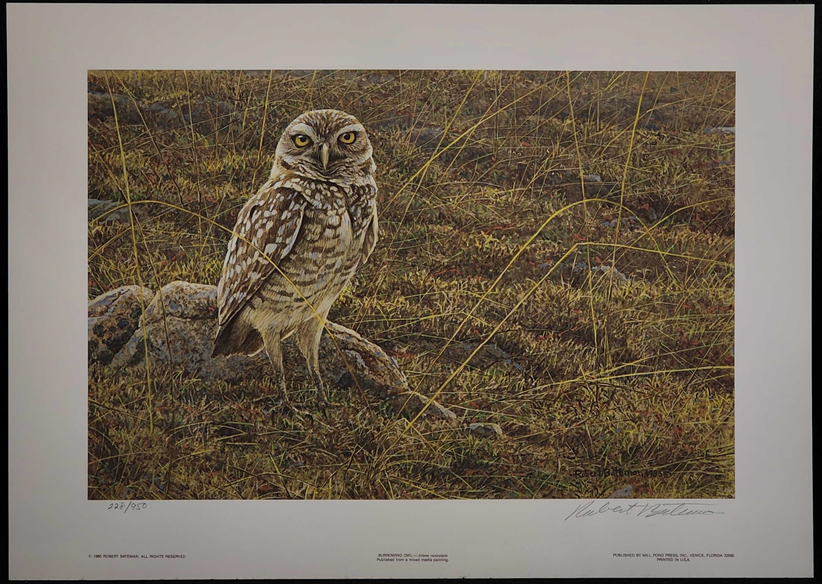 Robert McLellan Bateman | Bald Eagle | MutualArt