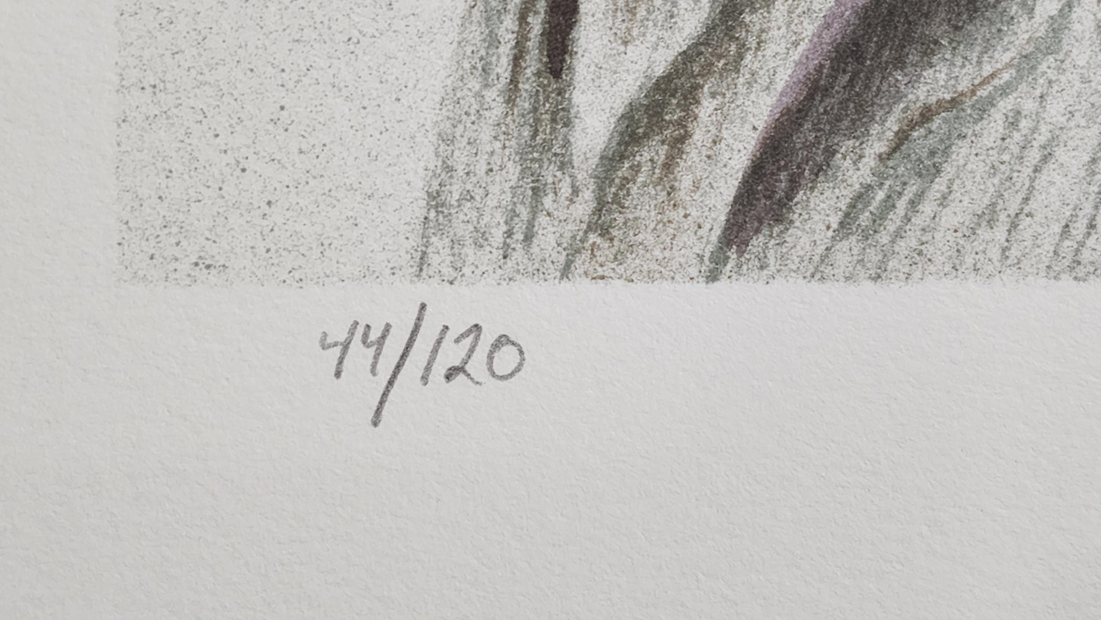 Robert Bateman | Bald Eagle | MutualArt