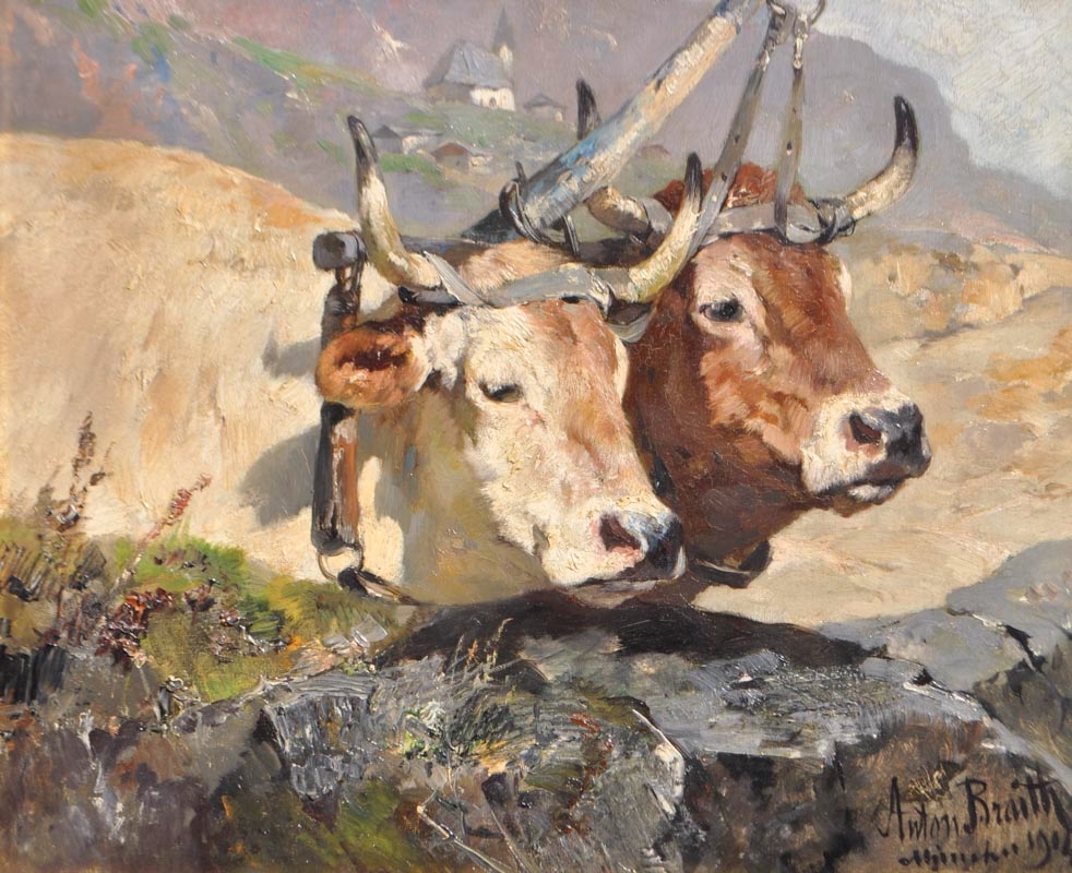 Anton Braith | COPPIA DI BUOI IN ALTA MONTAGNA (1904) | MutualArt