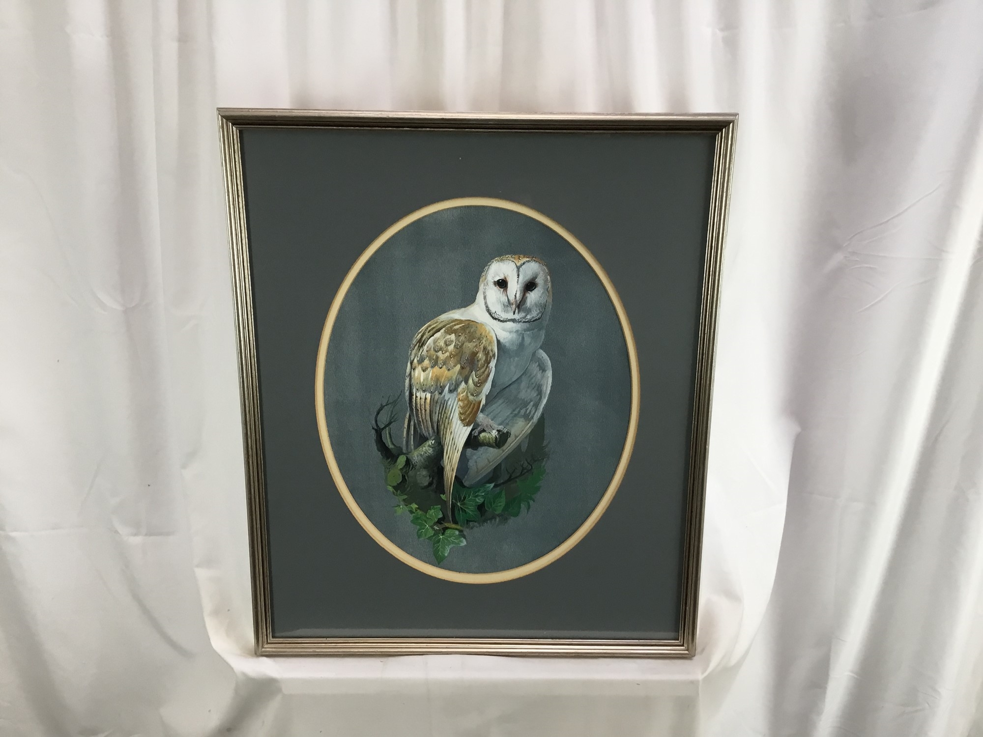 Kenneth Smith | Barn owl (88) | MutualArt