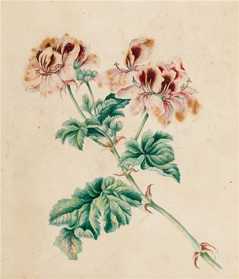 Elizabeth Middleton Pollexfen | Biography