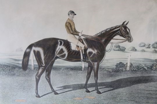 Alfred William Strutt | A hand coloured print of the racehorse ...