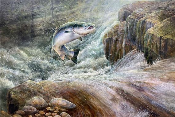 Chris Sharp | Salmon over the Waterfall | MutualArt