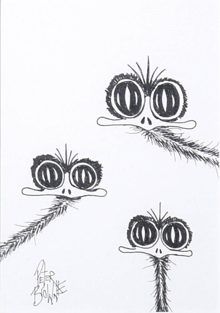 Peter Browne | Three Emus | MutualArt