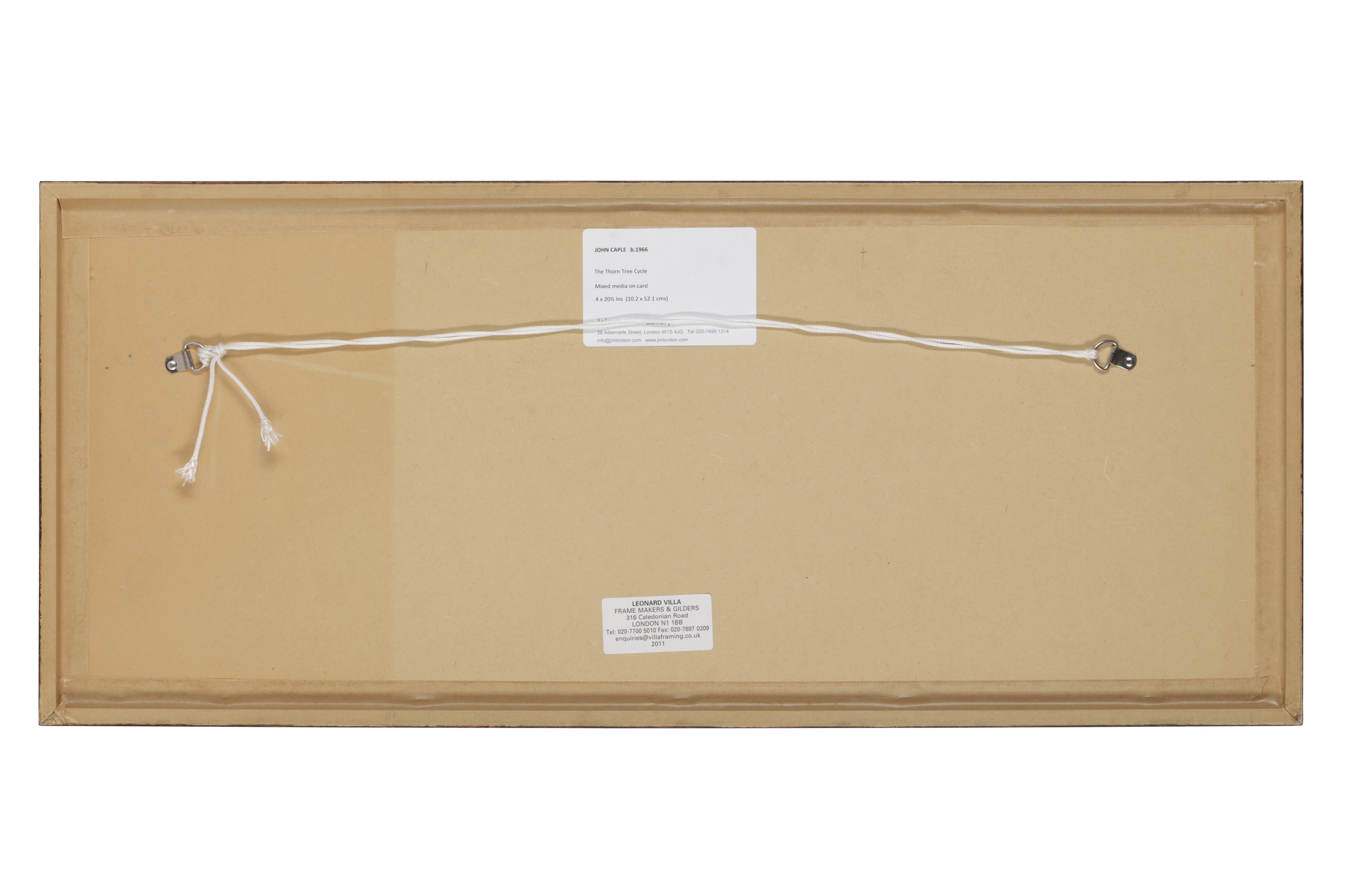 John Caple | The Thorn Tree Cycle | MutualArt