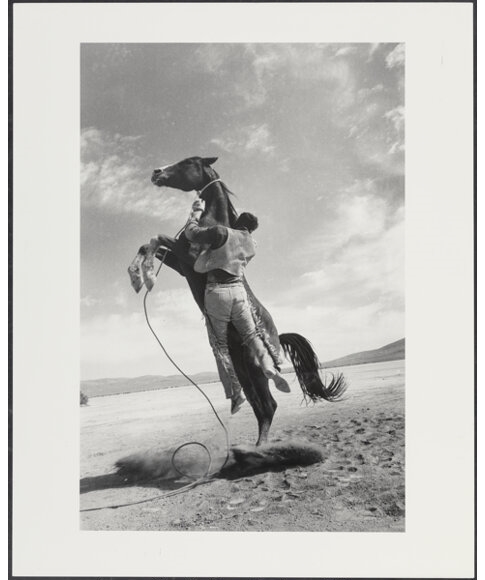 Ernst Haas | Leaping Horse on the Set of the Misfits, Nevada | MutualArt