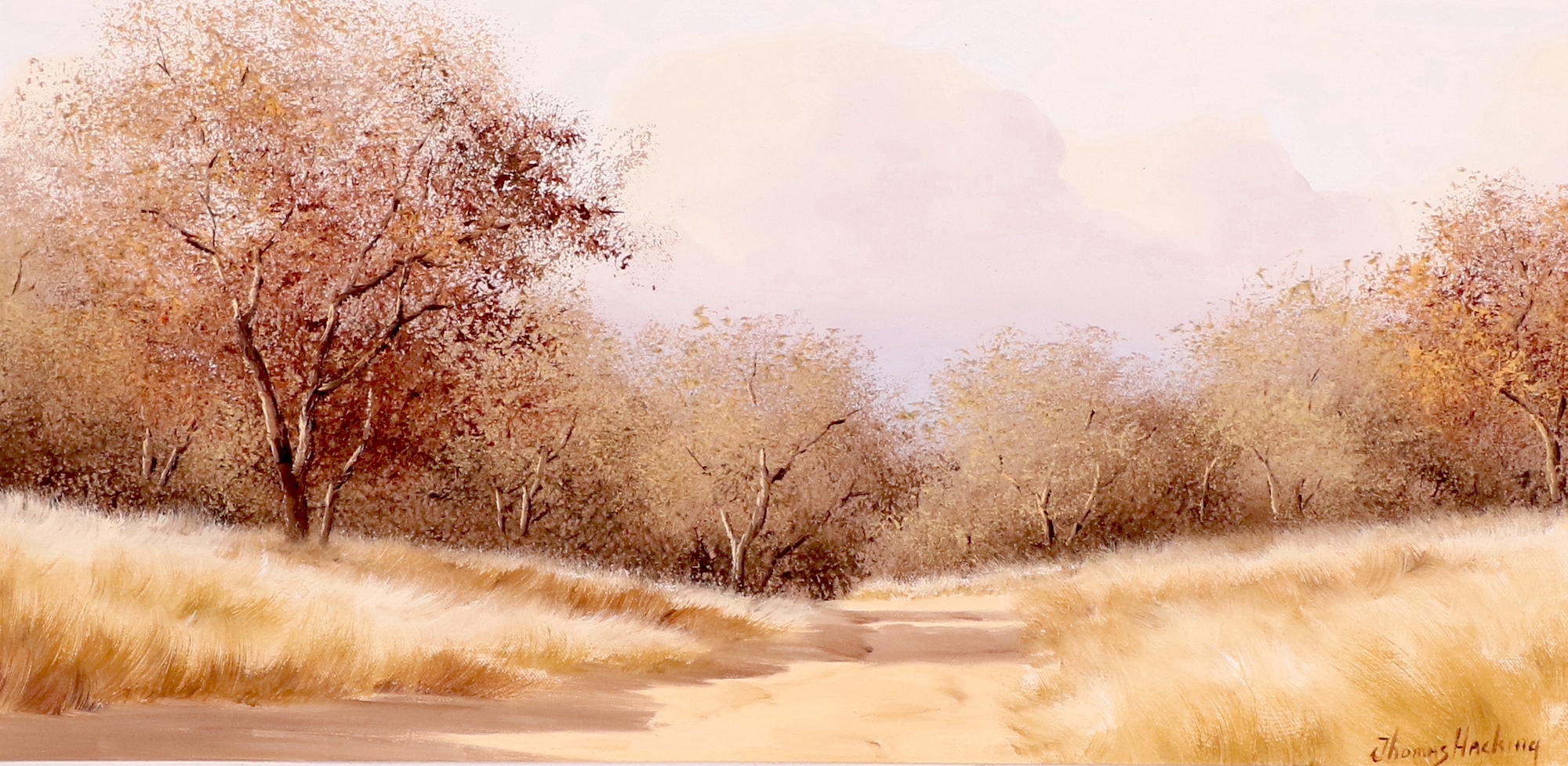 Thomas Hacking | BUSHVELD LANDSCAPE | MutualArt
