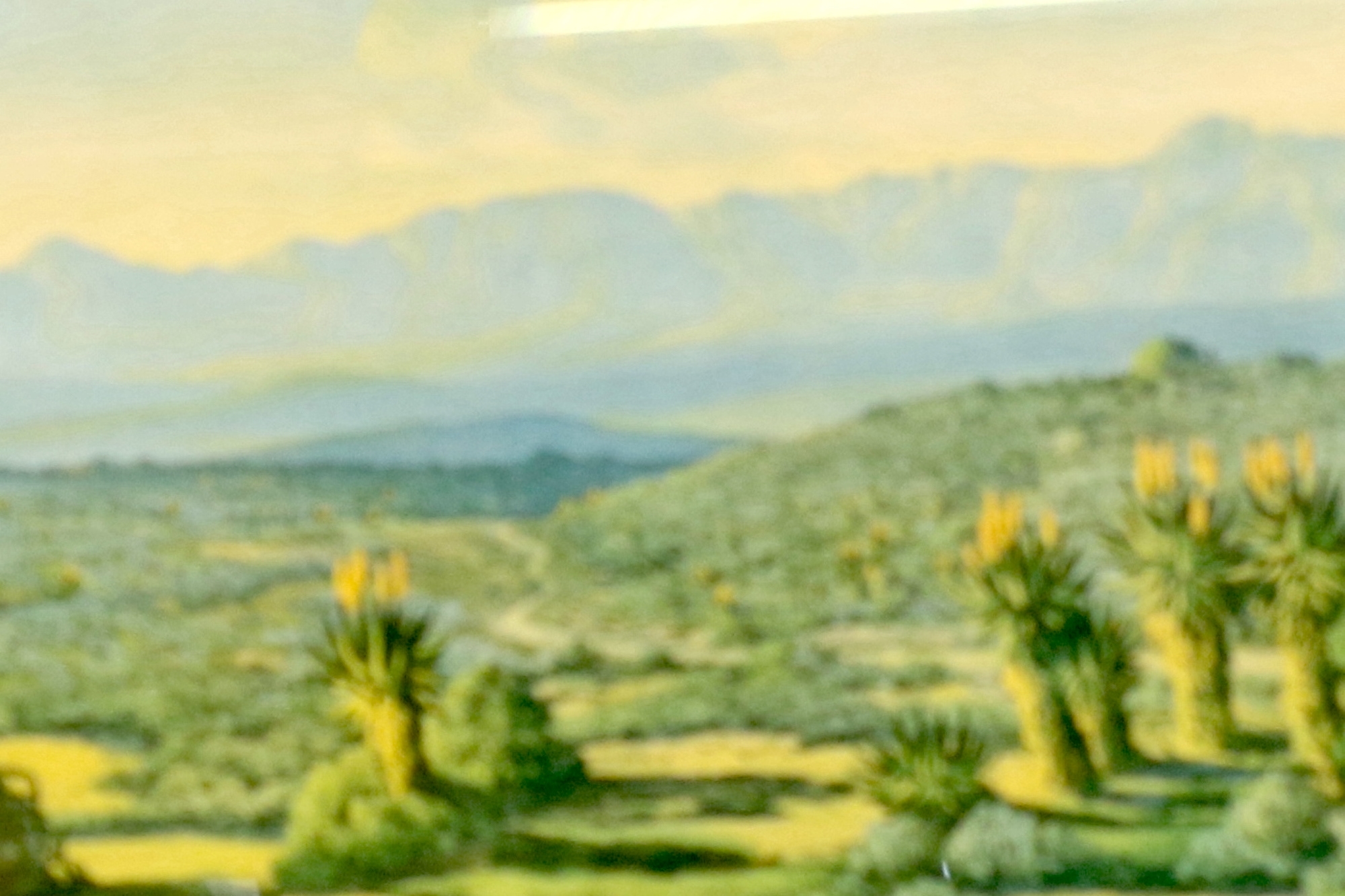 Gerhard Beukes | Seven Weeks Poort (1936) | MutualArt