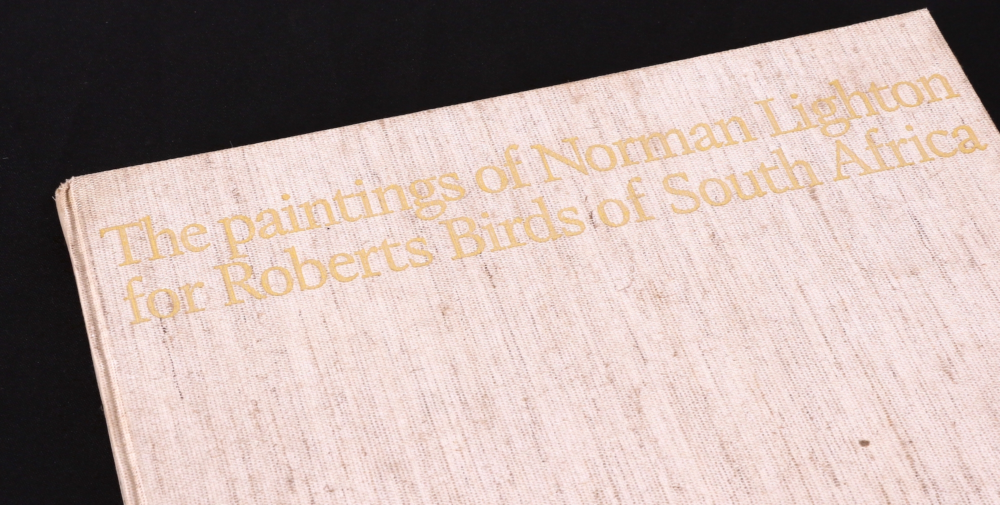 Norman Charles Kingsley Lighton | Capetown | MutualArt