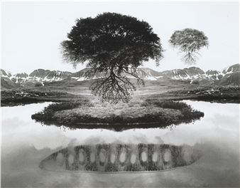 Jerry Uelsmann | 536 Artworks at Auction | MutualArt