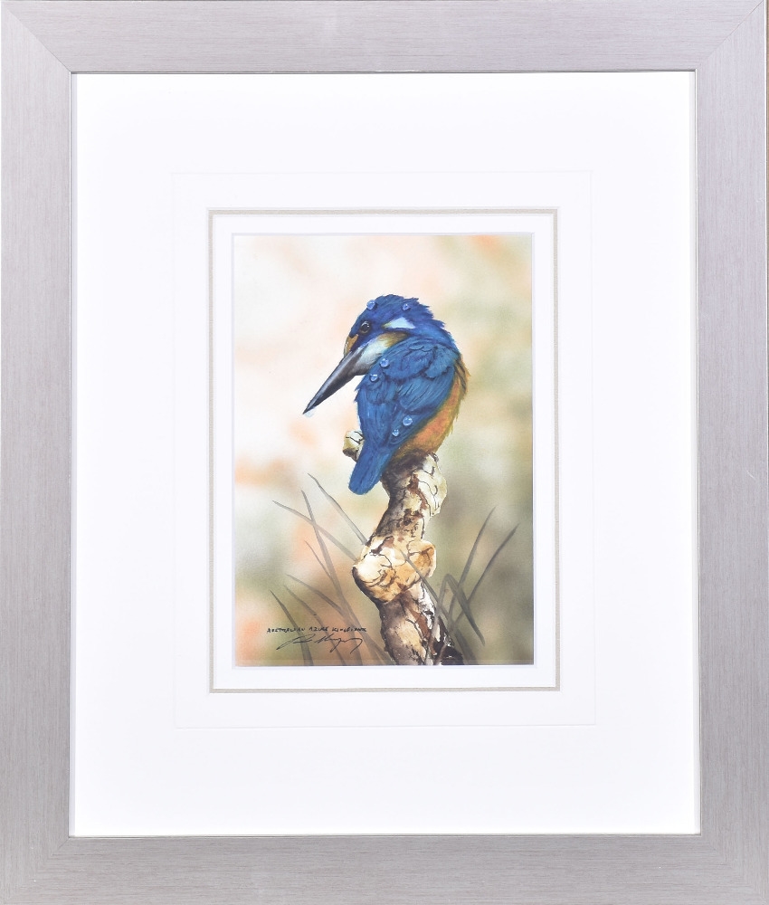 Paul Margocsy | Australian Azure Kingfisher | MutualArt