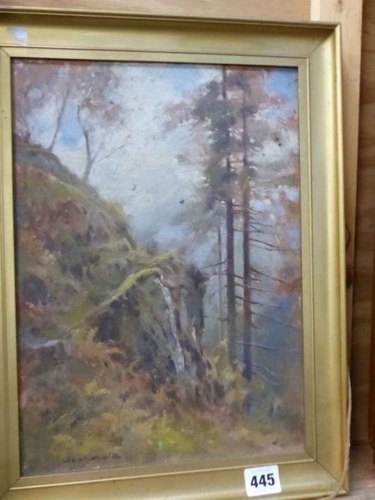 David Hewitt | DAVID HEWITT 20th CENTURY A WOODLAND VIEW SIGNED OIL ON ...