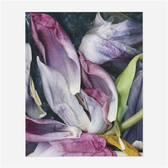 Faiya Fredman | Untitled (2005 - 2007) | MutualArt