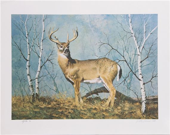 Peter Darro | White Tail Deer (1979) | MutualArt