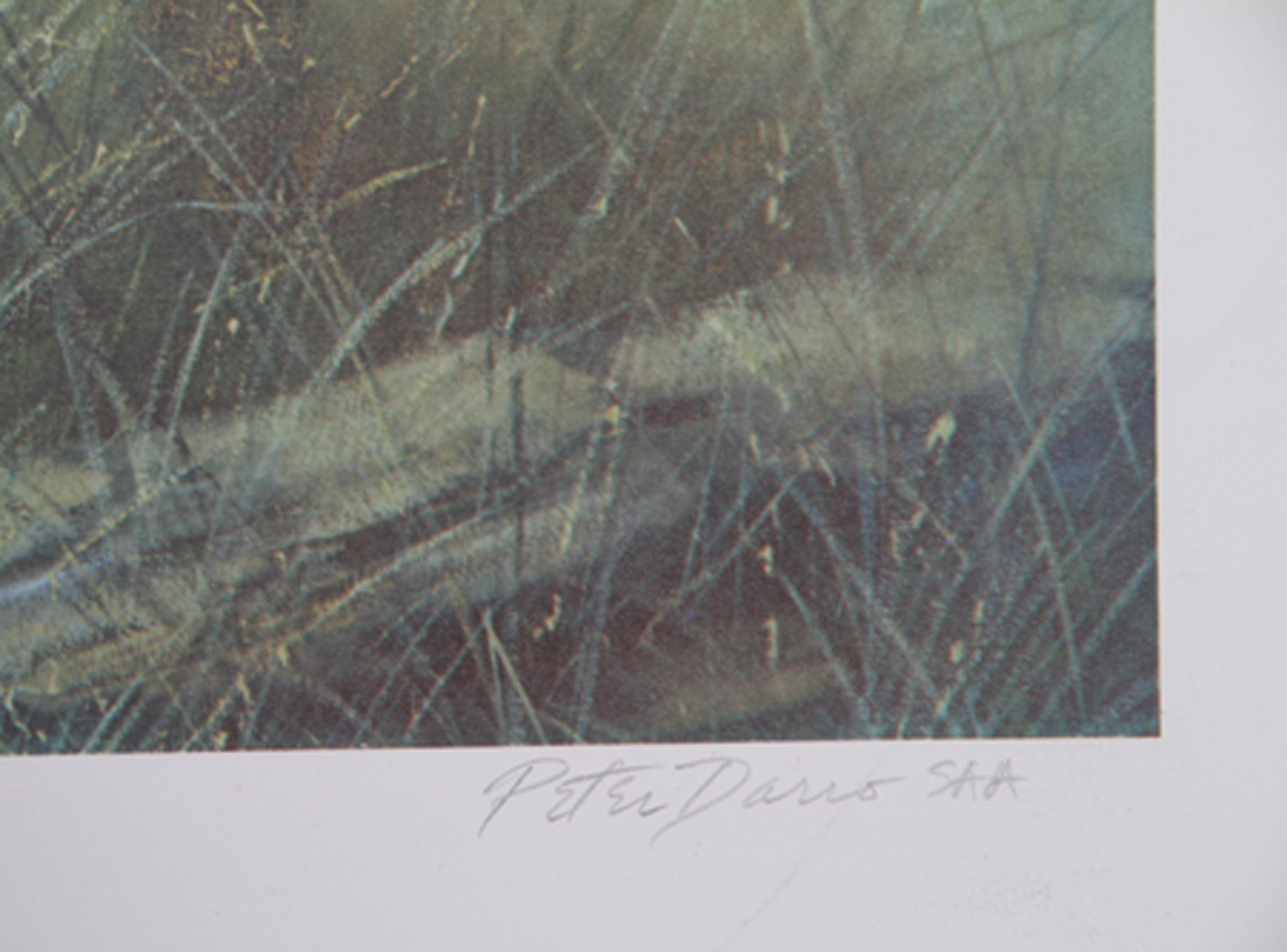 Peter Darro | Pronghorn Antelope (1979) | MutualArt