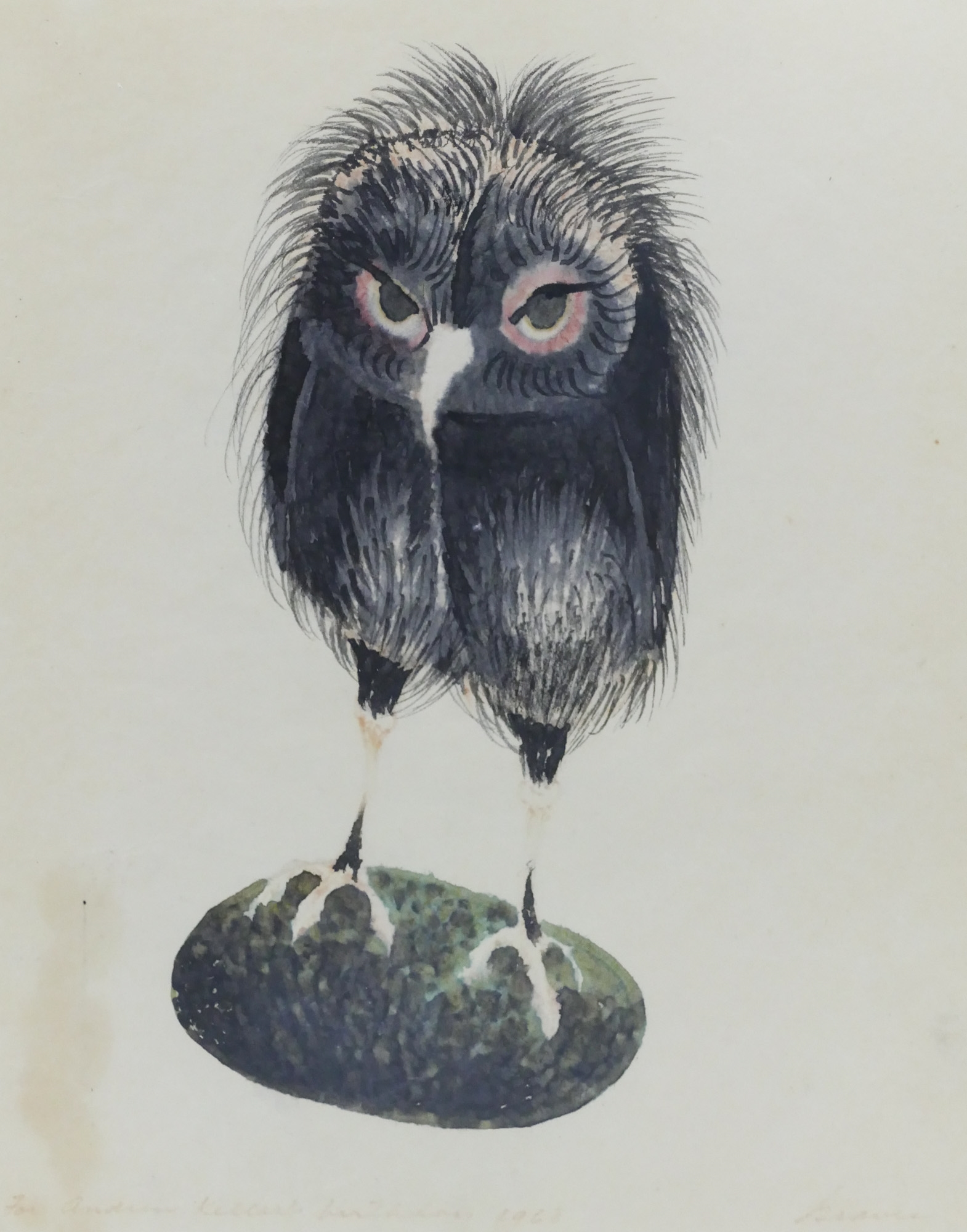 Morris Graves | Morris Graves ''Owl on Stone'' 1968 Tempera (1968 ...