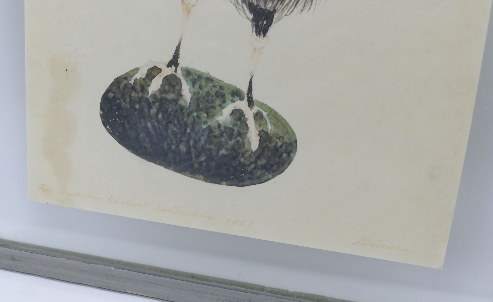 Morris Graves | Morris Graves ''Owl on Stone'' 1968 Tempera (1968 ...