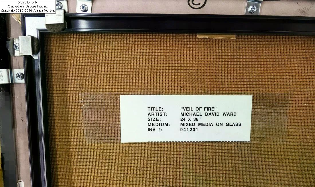 Michael David Ward | Michael David Ward ''Veil to Fire'' Mixed Media ...