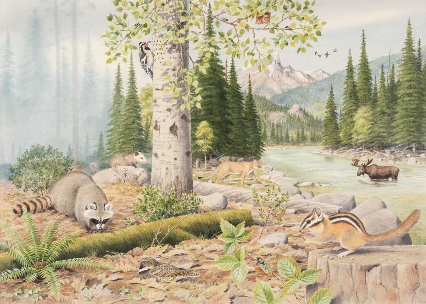 Peter Barrett | North American Mountain Landscape (2009) | MutualArt