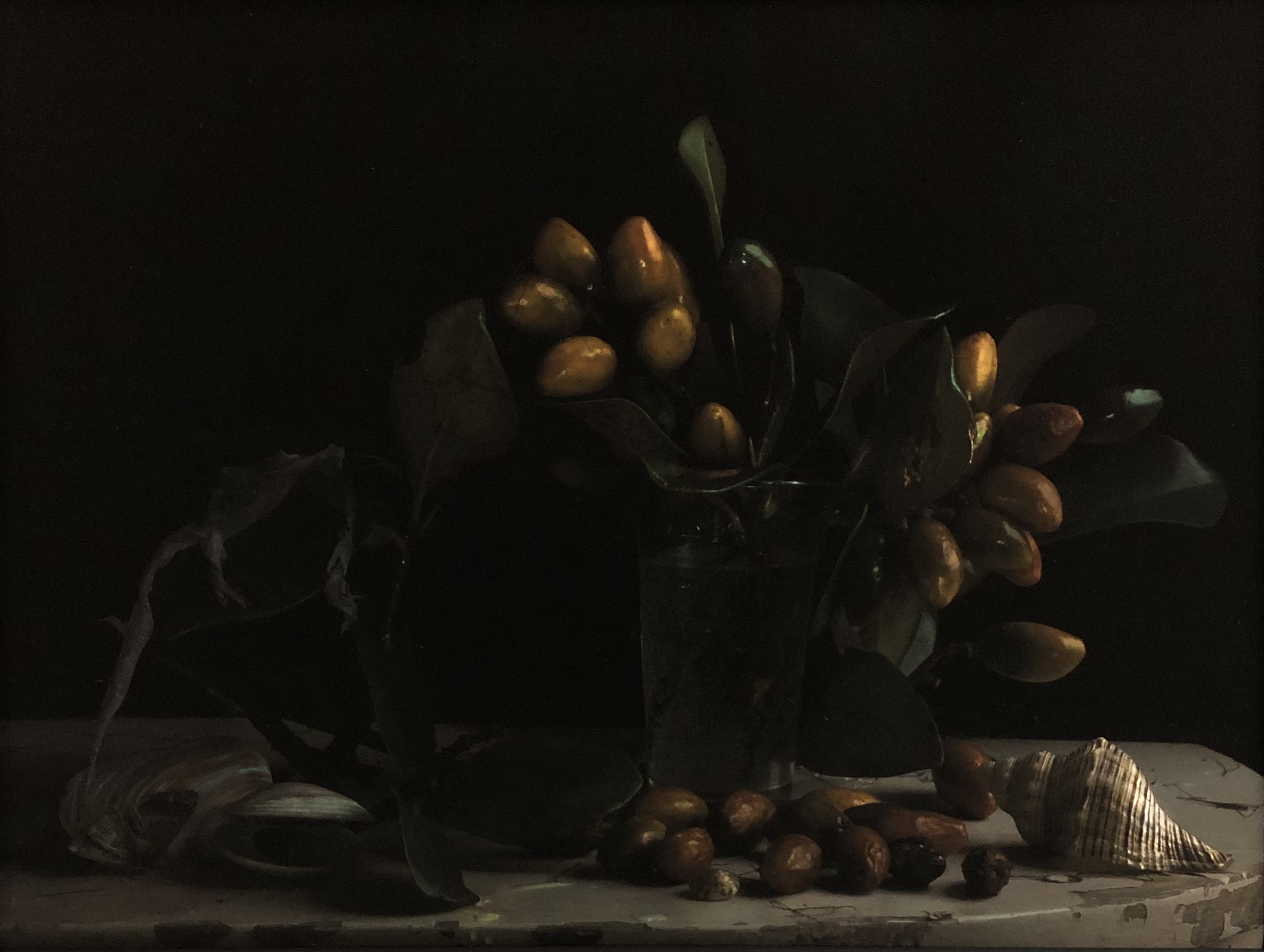 Fiona Pardington | FIONA PARDINGTON - Still Life with Karaka Drupes and ...