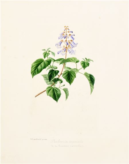 Louis Joseph Édouard Maubert | 1 Artworks | MutualArt