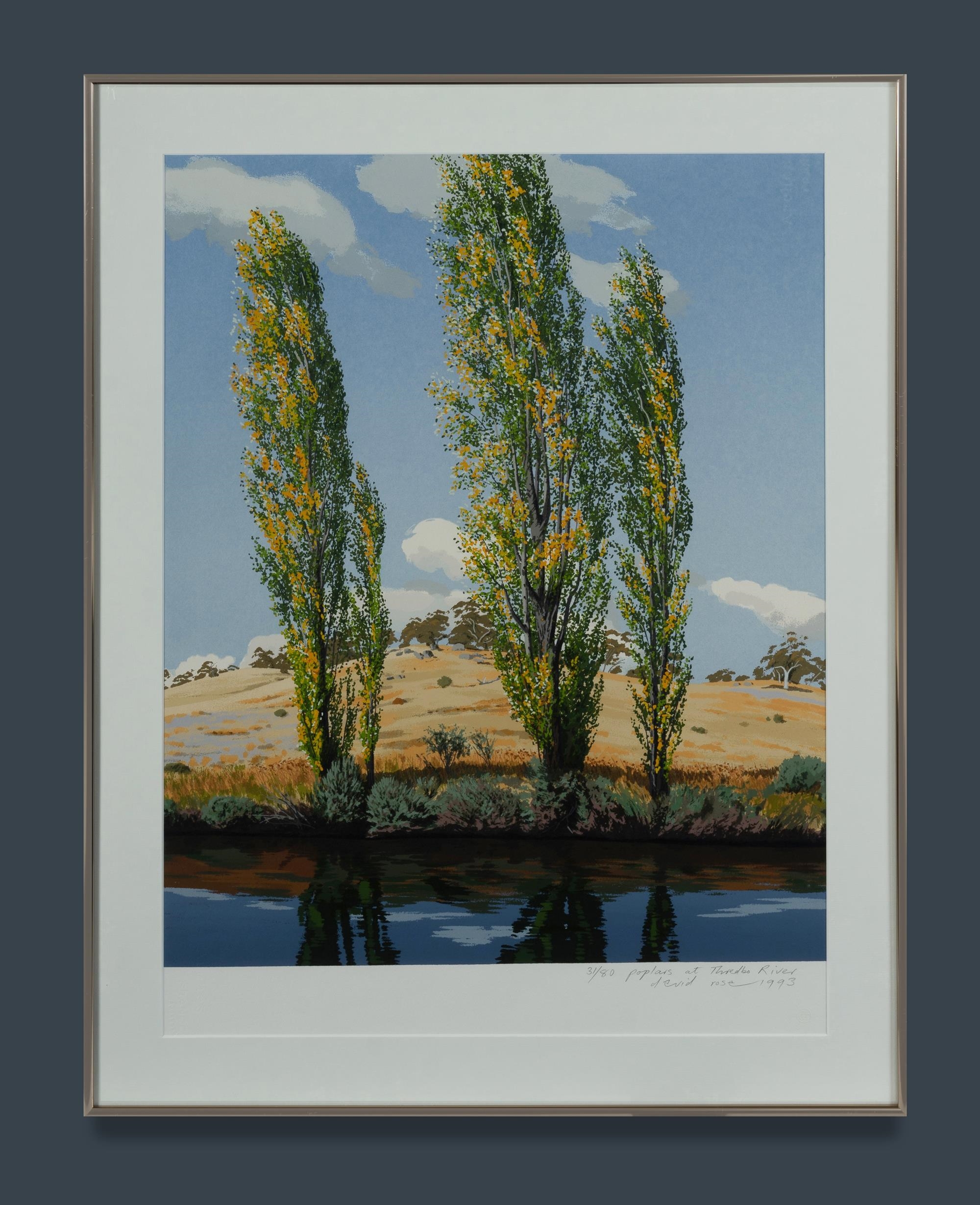 David Rose | Poplars at Thredbo River (1993) | MutualArt