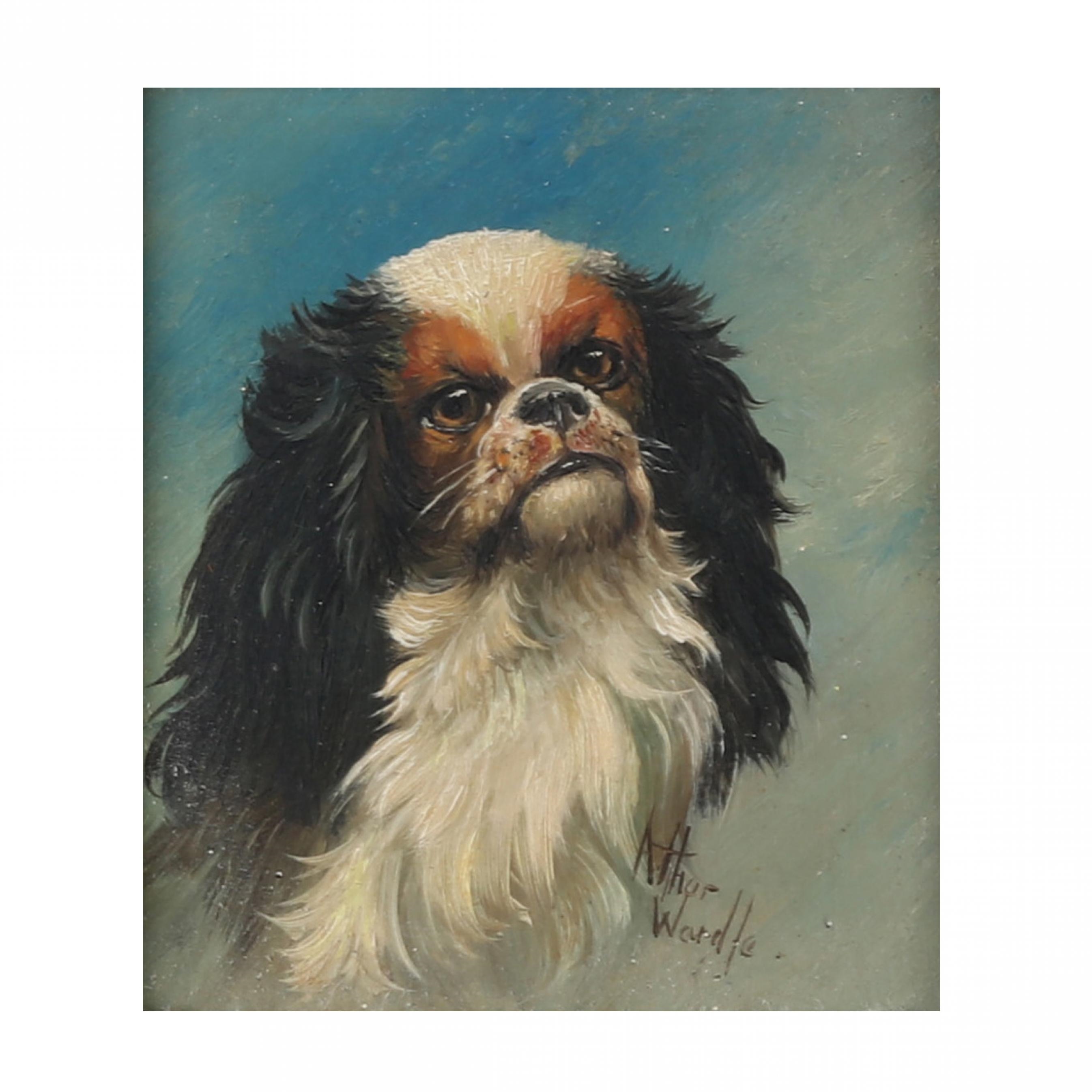 Arthur Wardle | Portrait of a Cavalier King Charles Spaniel | MutualArt