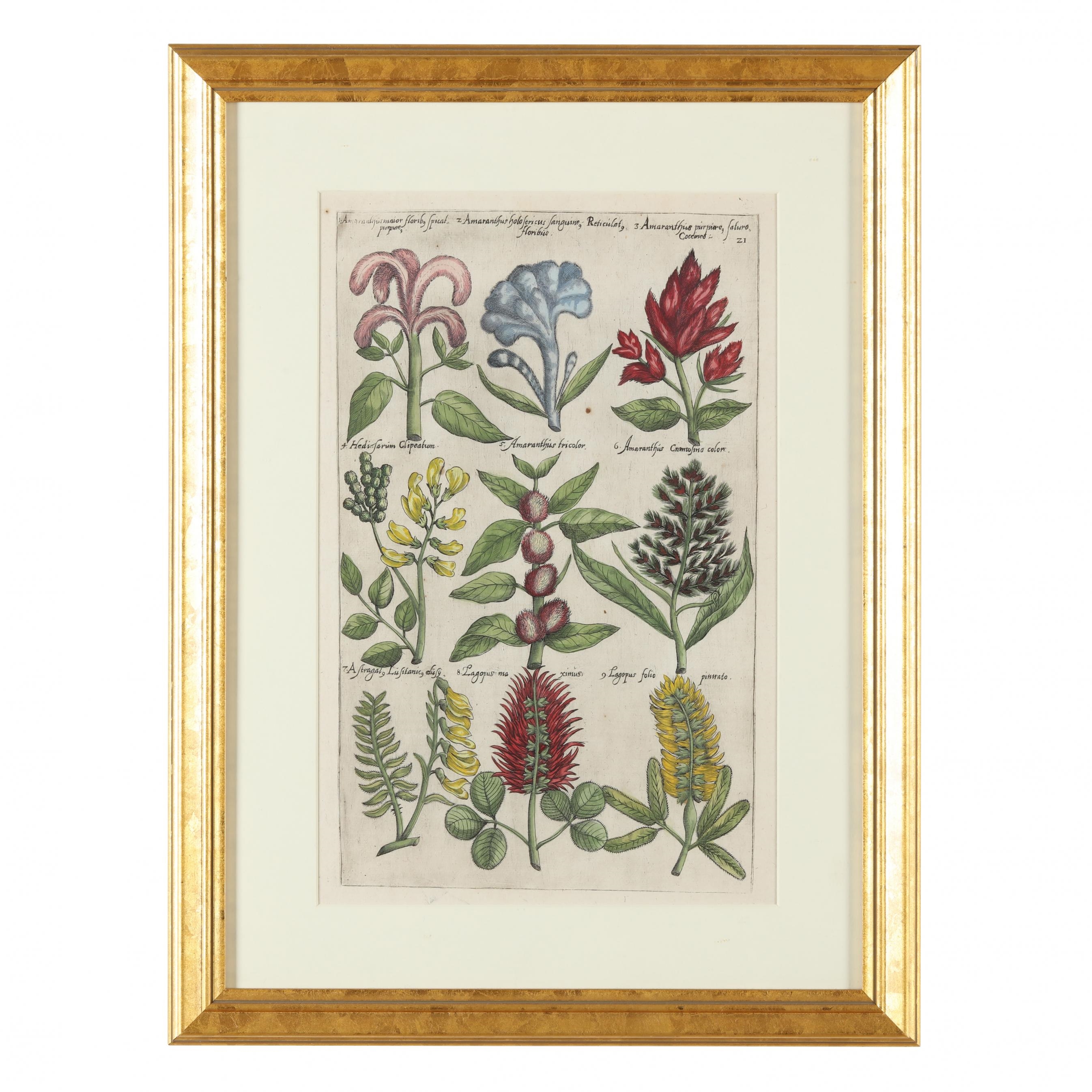 Emanuel Sweert | Five Floral Engravings from Florilegium | MutualArt