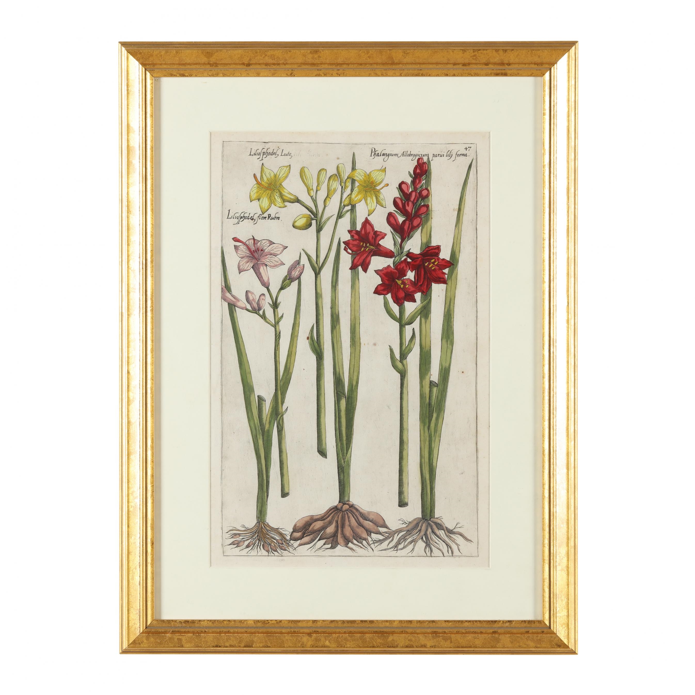 Emanuel Sweert | Five Floral Engravings from Florilegium | MutualArt