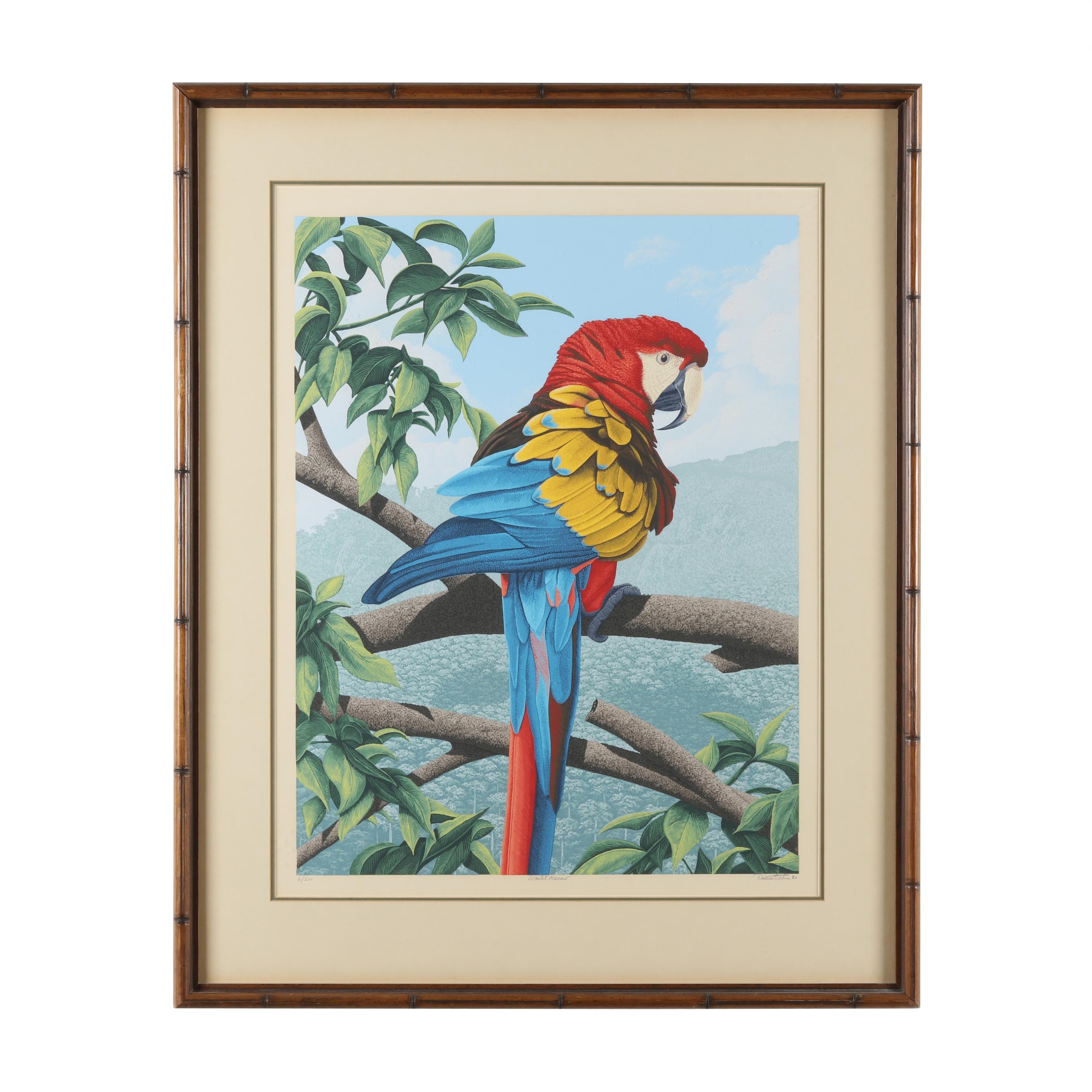 Dallas John | Four Large Parrot Silkscreen Prints | MutualArt