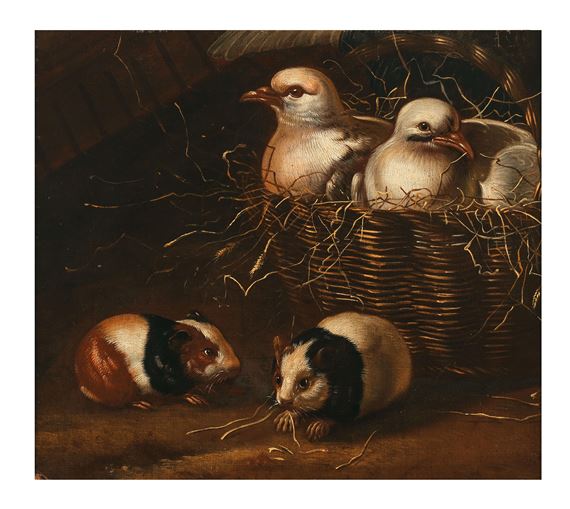 Franz Werner von Tamm | Guinea pigs and doves in a wicker basket (1658 ...