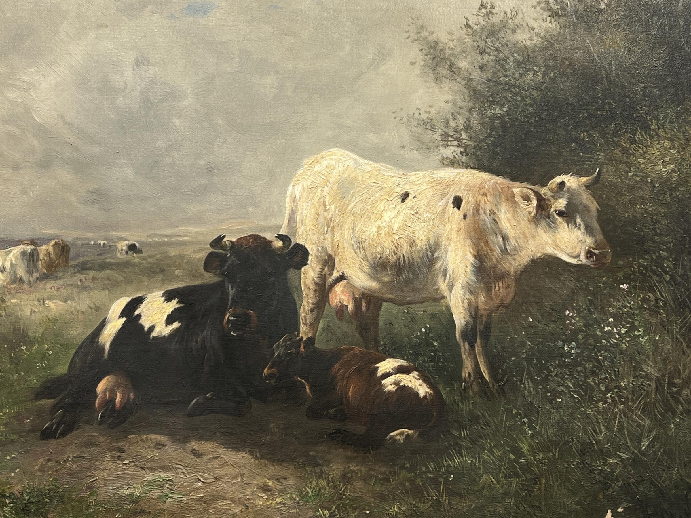 Henry Schouten | Vaches au pré | MutualArt