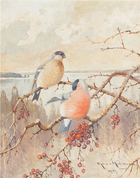 Ejnar Kohlmann | Eurasian bullfinch (1949) | MutualArt