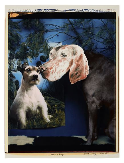 William Wegman | Dogs on Drugs (1980) | MutualArt