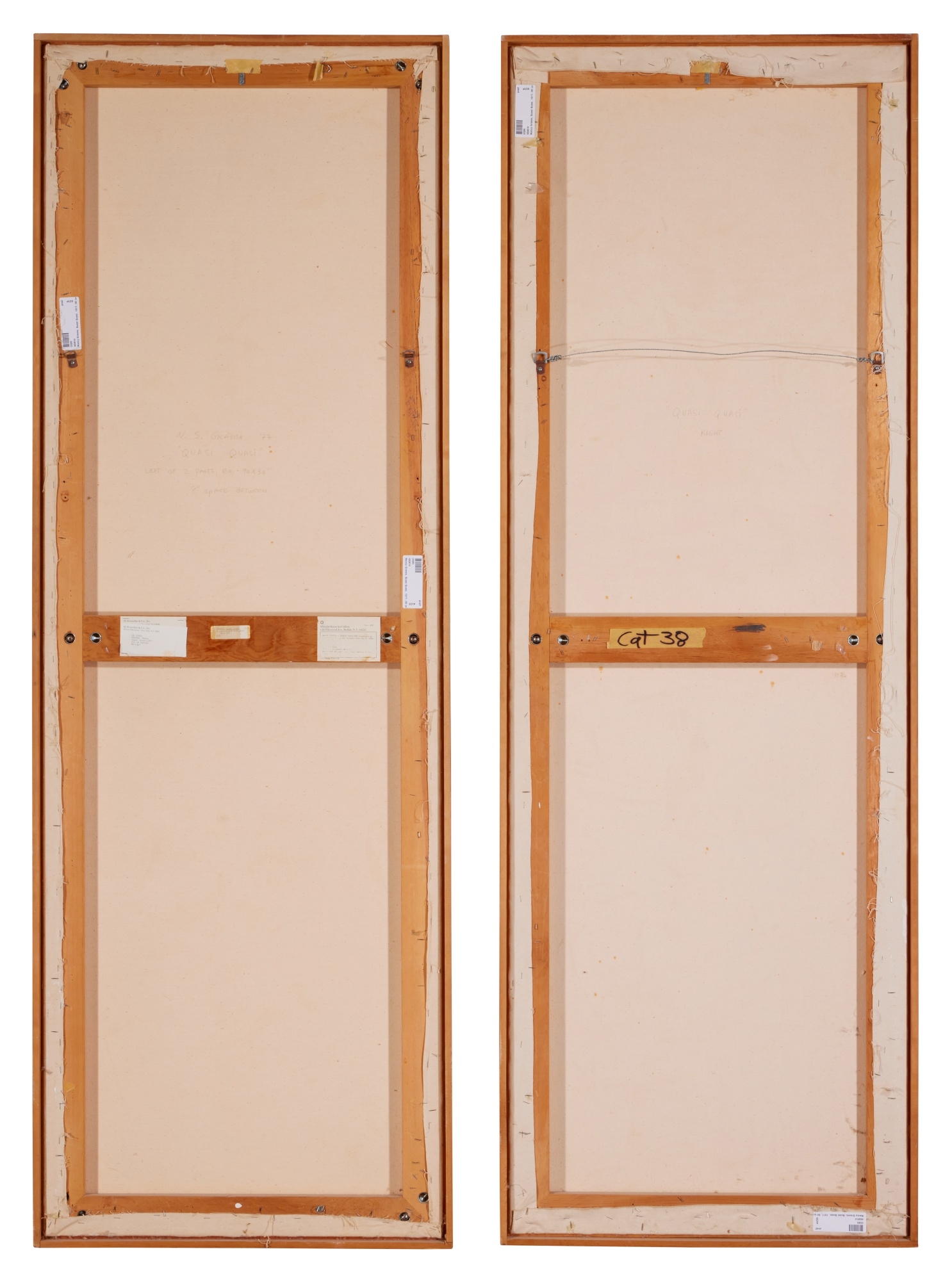 Nancy Graves | Quasi Quasi (1977) | MutualArt