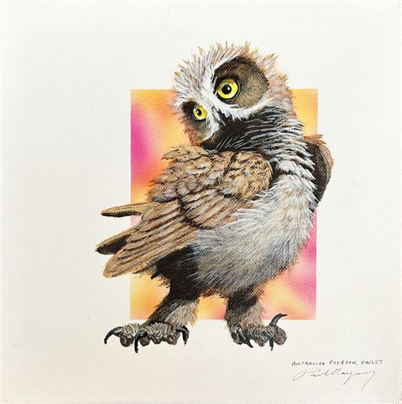 Paul Margocsy | Australian Boo Book Owlets | MutualArt