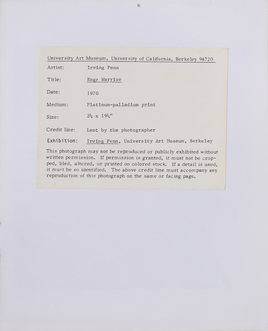 Irving Penn | Enga Warrior (1970) | MutualArt