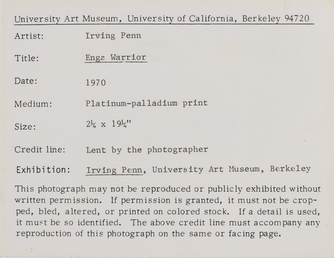 Irving Penn | Enga Warrior (1970) | MutualArt