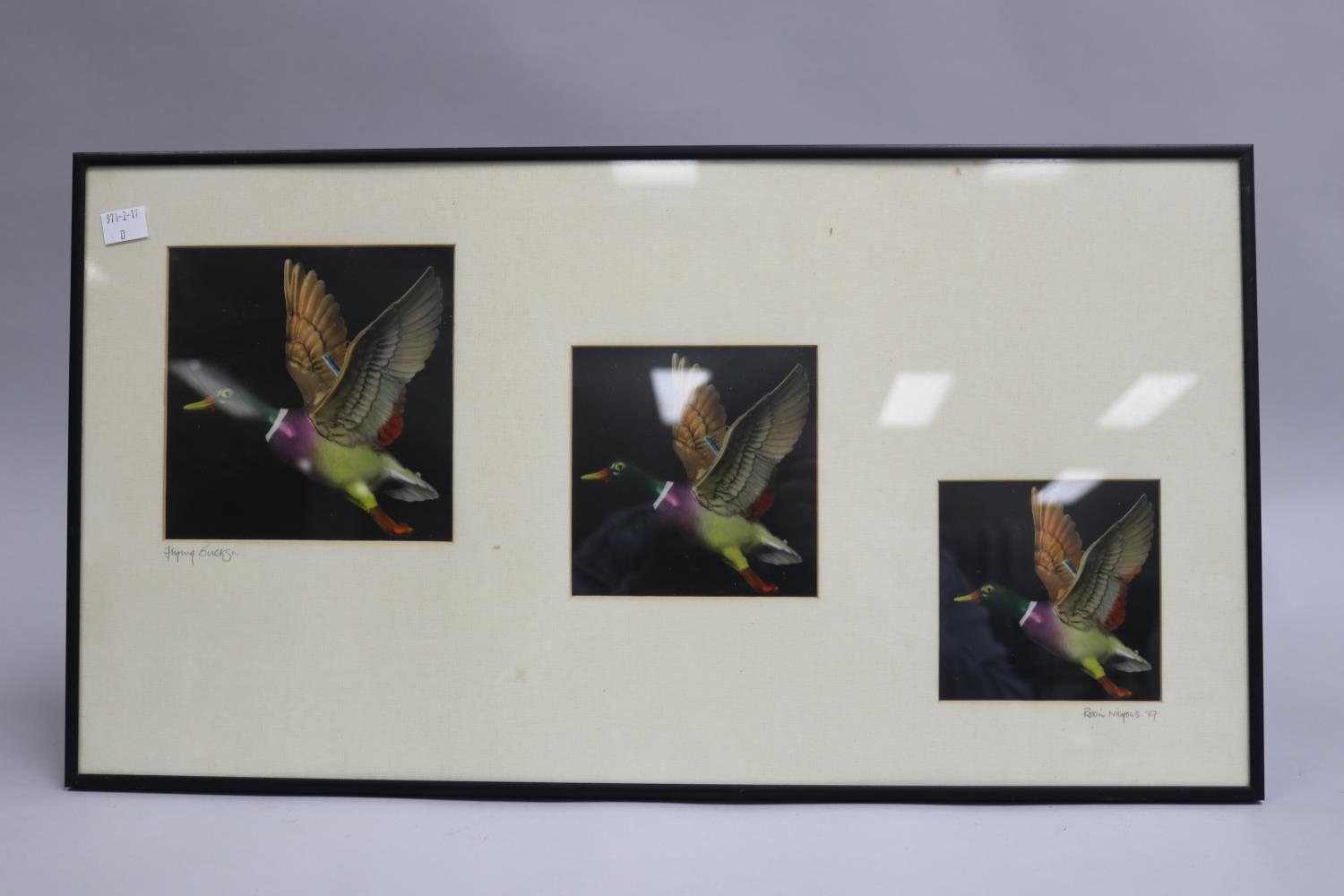 Robin Nichols | Flying ducks | MutualArt