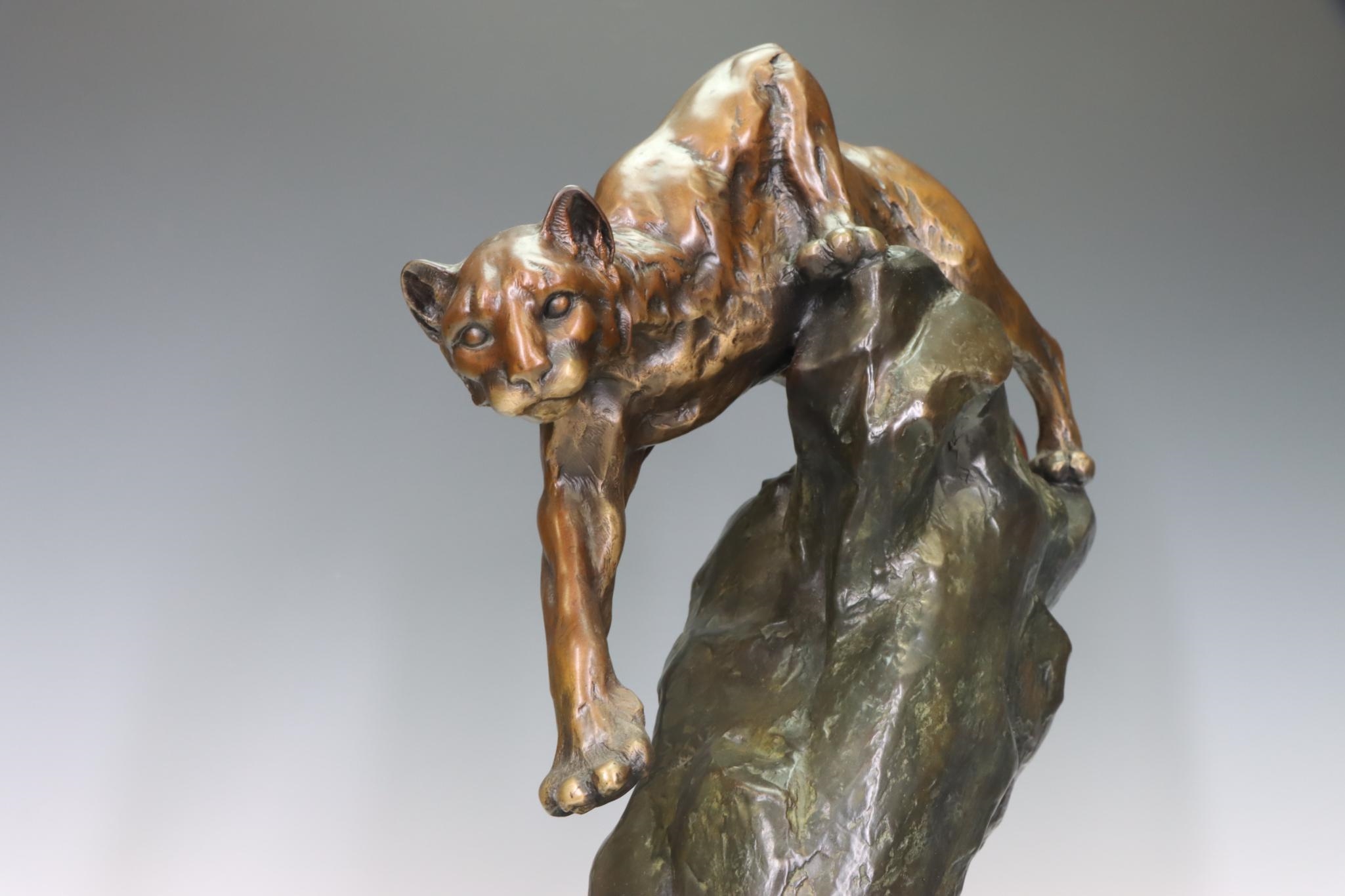 Dawn Weimer | depicting a mountain lion mounted to a marble slab on a ...