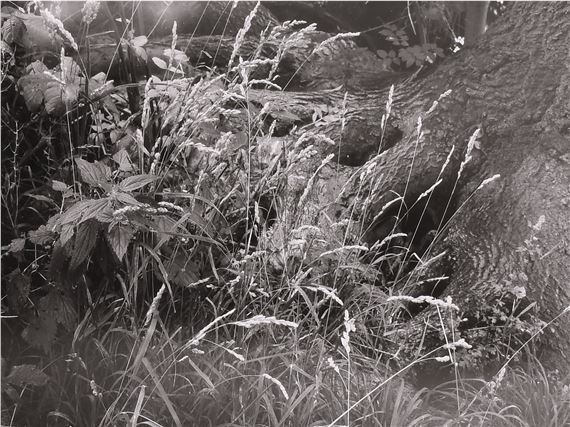 Petr Helbich | XAVEROV (2018) | MutualArt