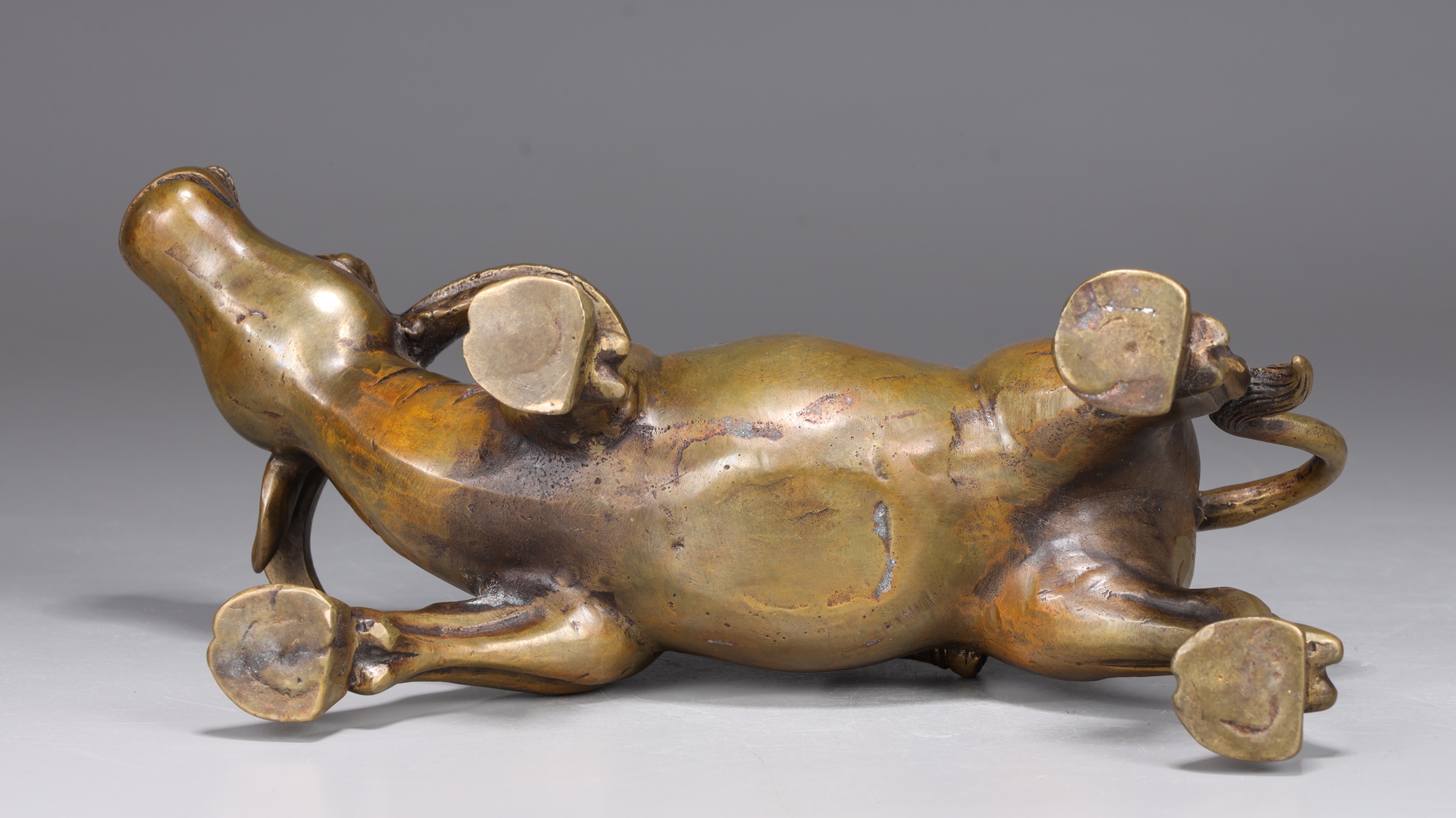 Chinese School | Chinese cast bronze bull standing foursquare with a ...