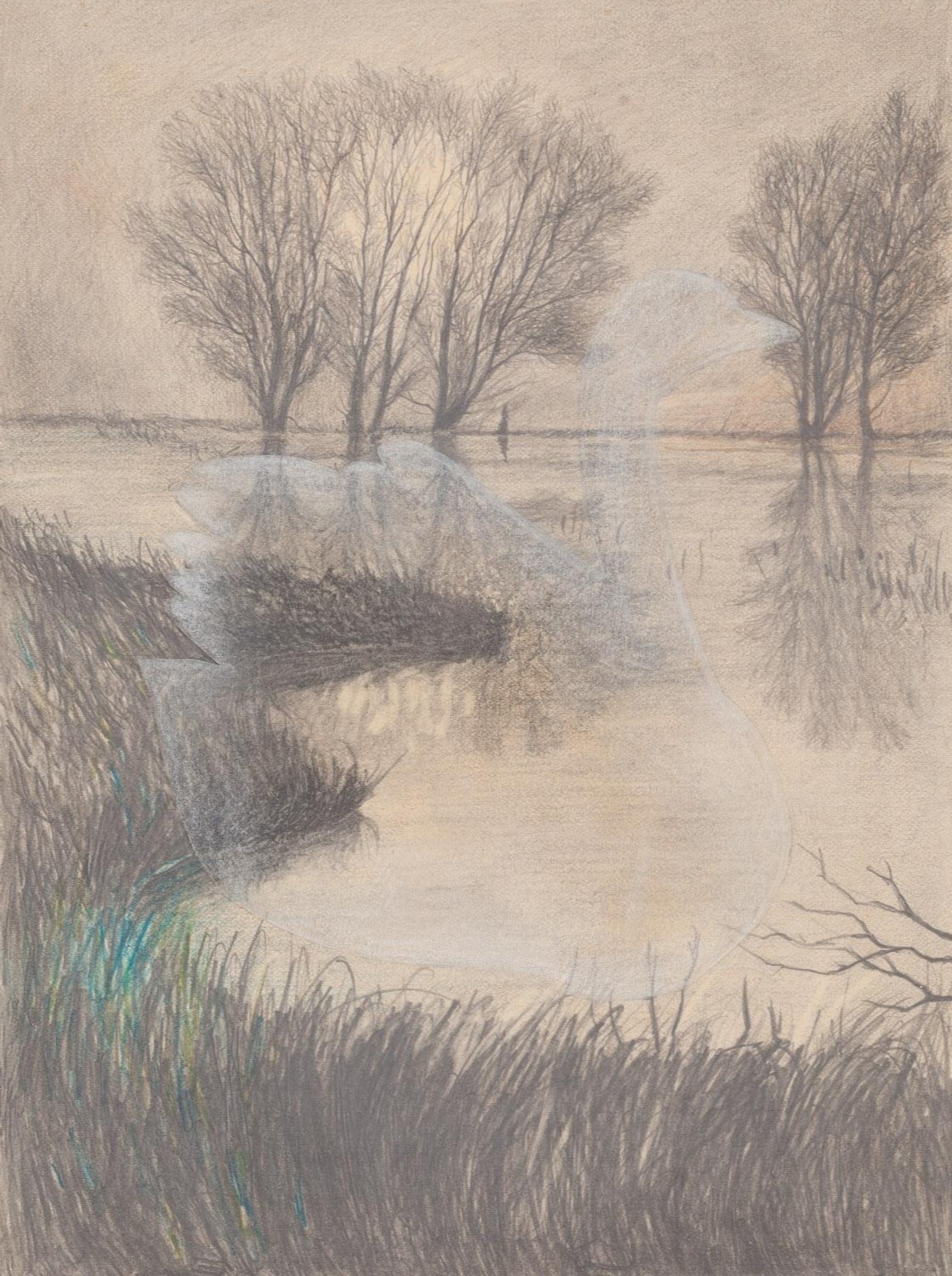 Joanna Concejo | Les cygnes sauvages (2011) | MutualArt