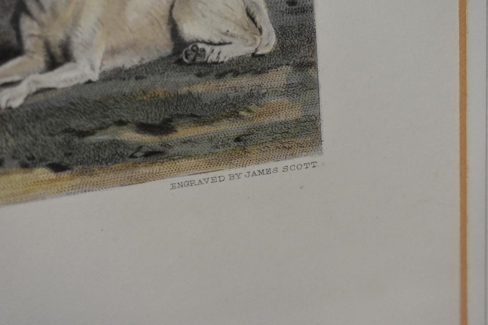 Stephen Pearce | The Heythrop Hunt | MutualArt